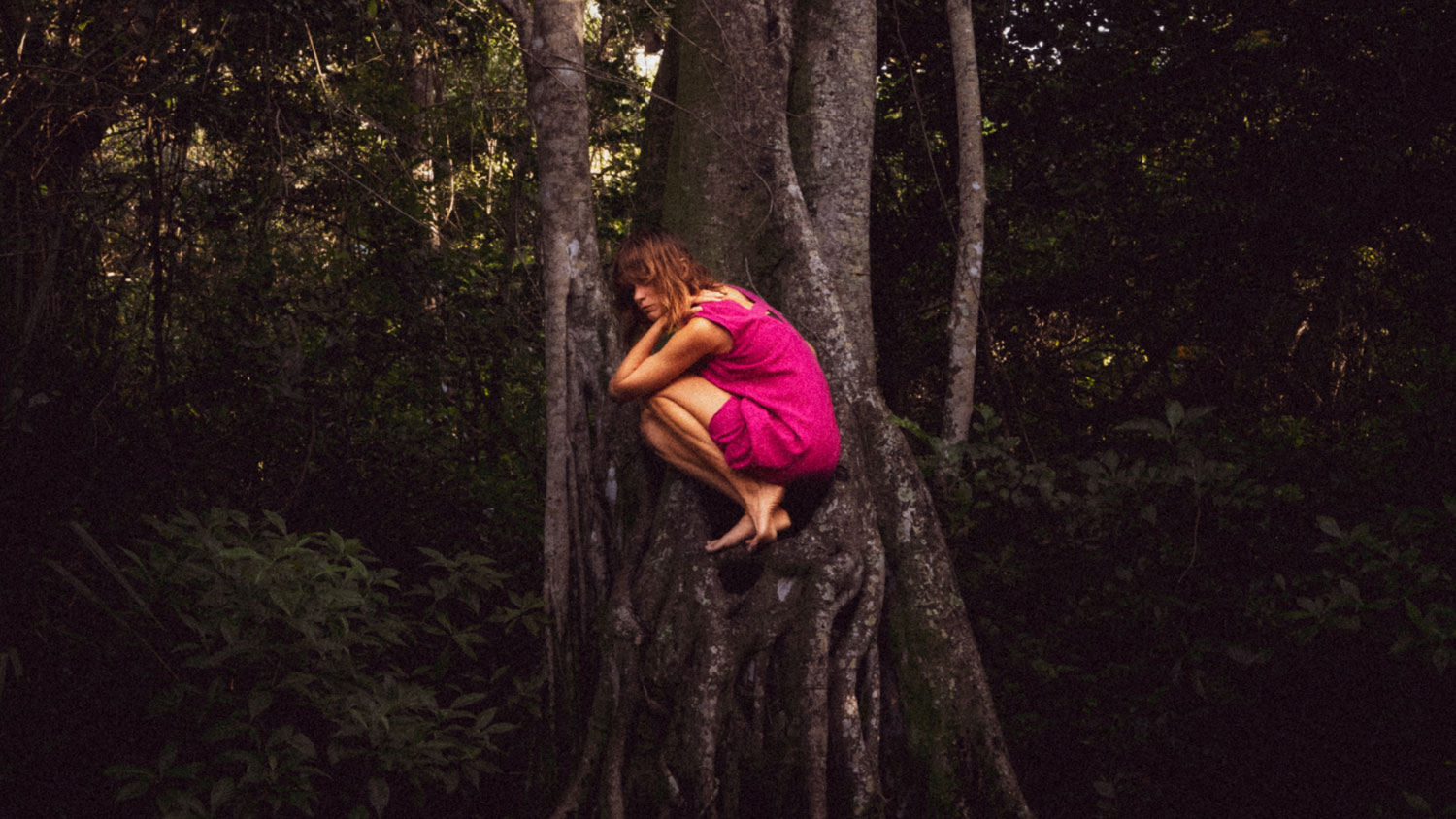 Lydia Luce Releases new Eco-based Video Single - Folk and Tumble